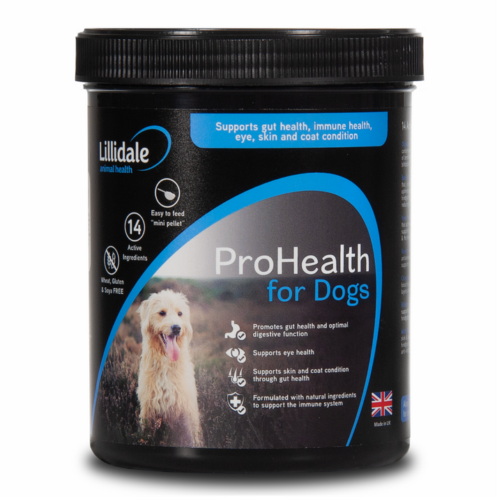 Buy Lillidale ProHealth for Dogs - Lillidale Singapore – Lillidale ...