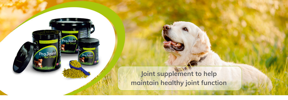 Premium Natural Pet Care & Supplements – Lillidale Animal Health